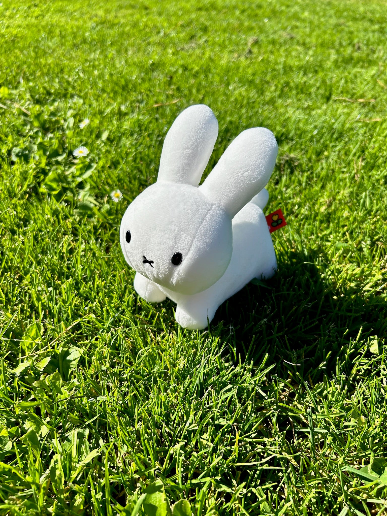 Kira x Miffy – The Kira Shop