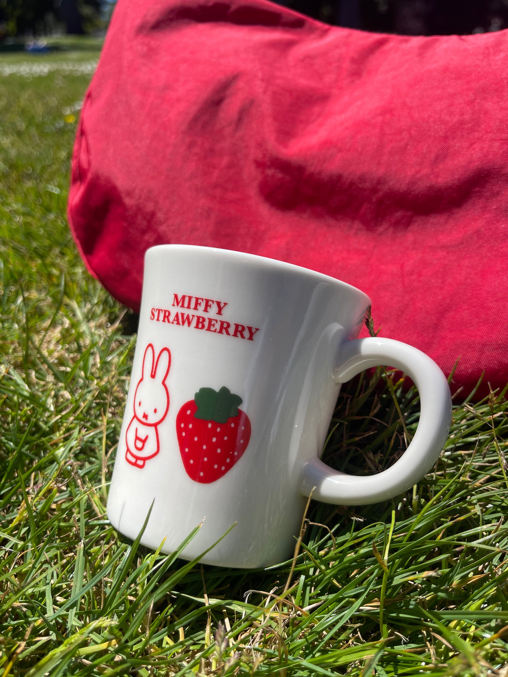 Kira x Miffy – Page 2 – The Kira Shop